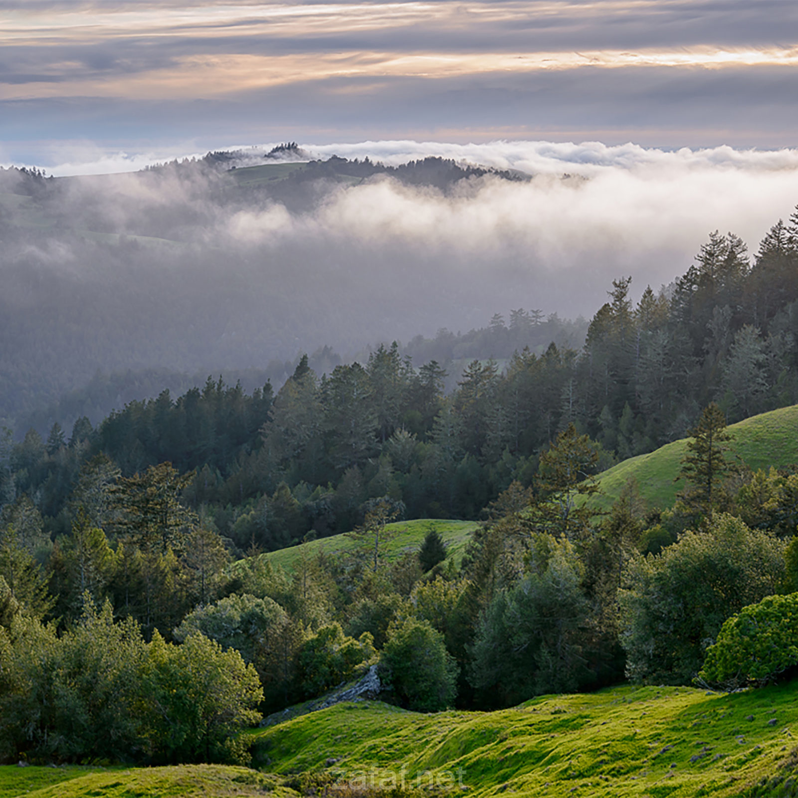 Zafaf test - نقش حناء مكة